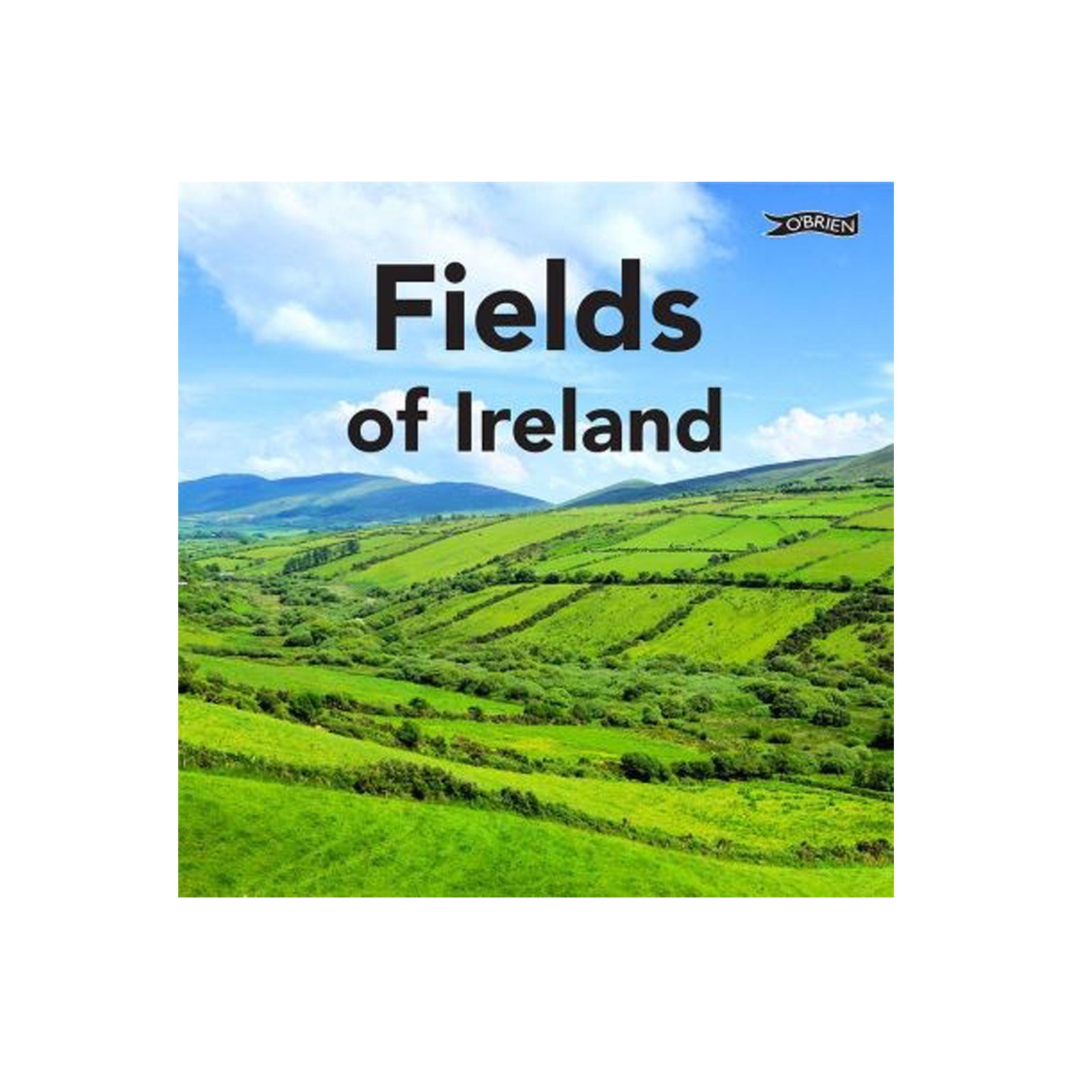 Fields of Ireland – Photo Museum Ireland