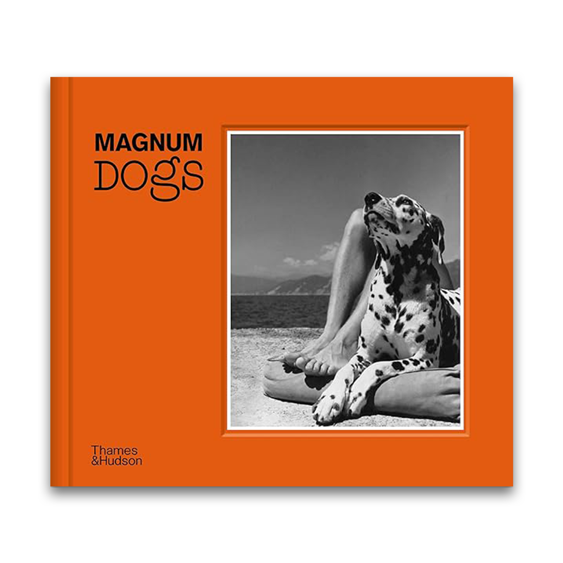 Magnum Dogs by Magnum Photos – Photo Museum Ireland